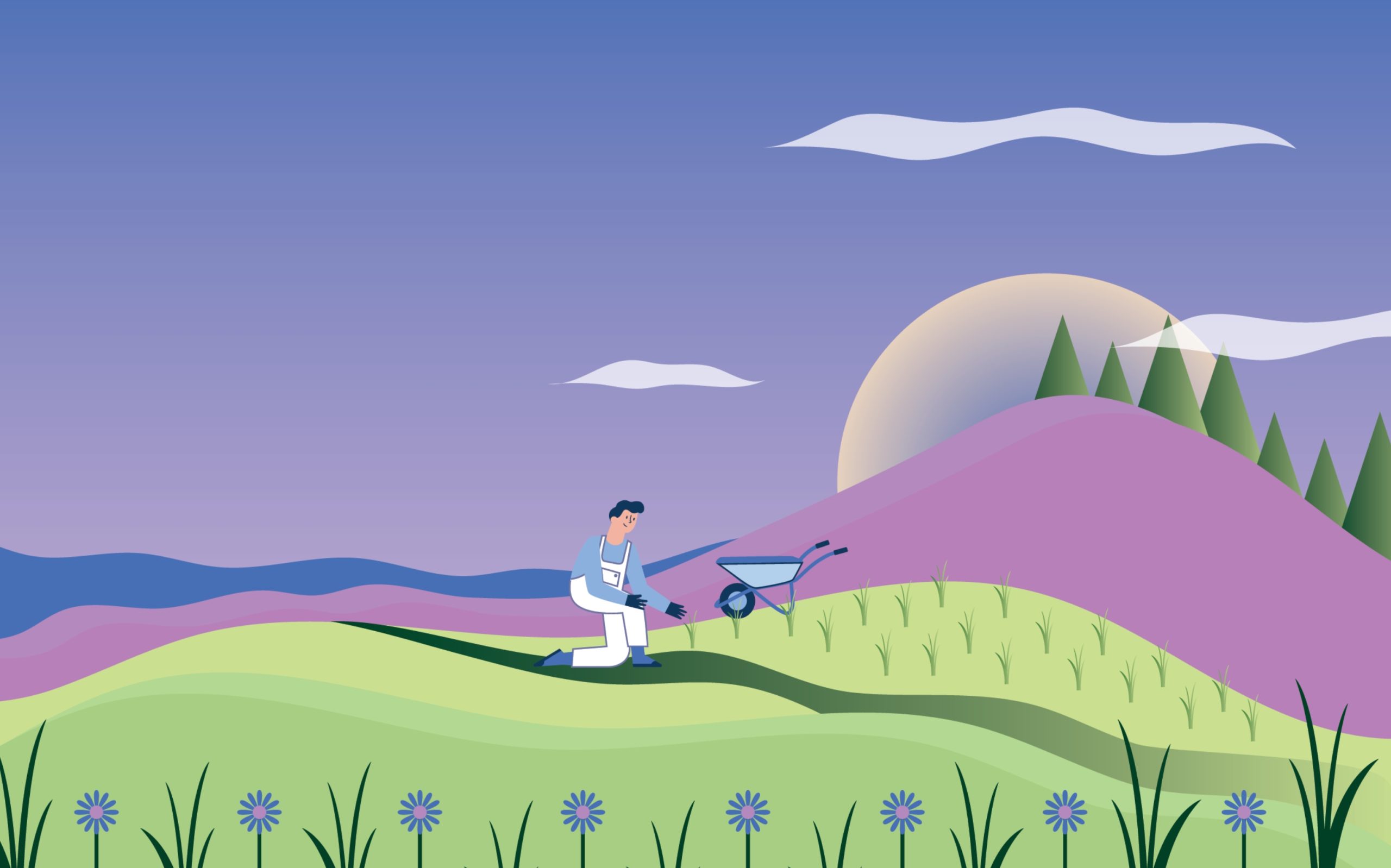 Home - SuperEasy KiwiSaver Superannuation